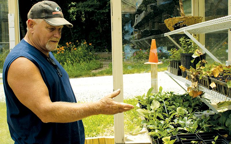 Growing together | The Graham Star, Robbinsville, North Carolina